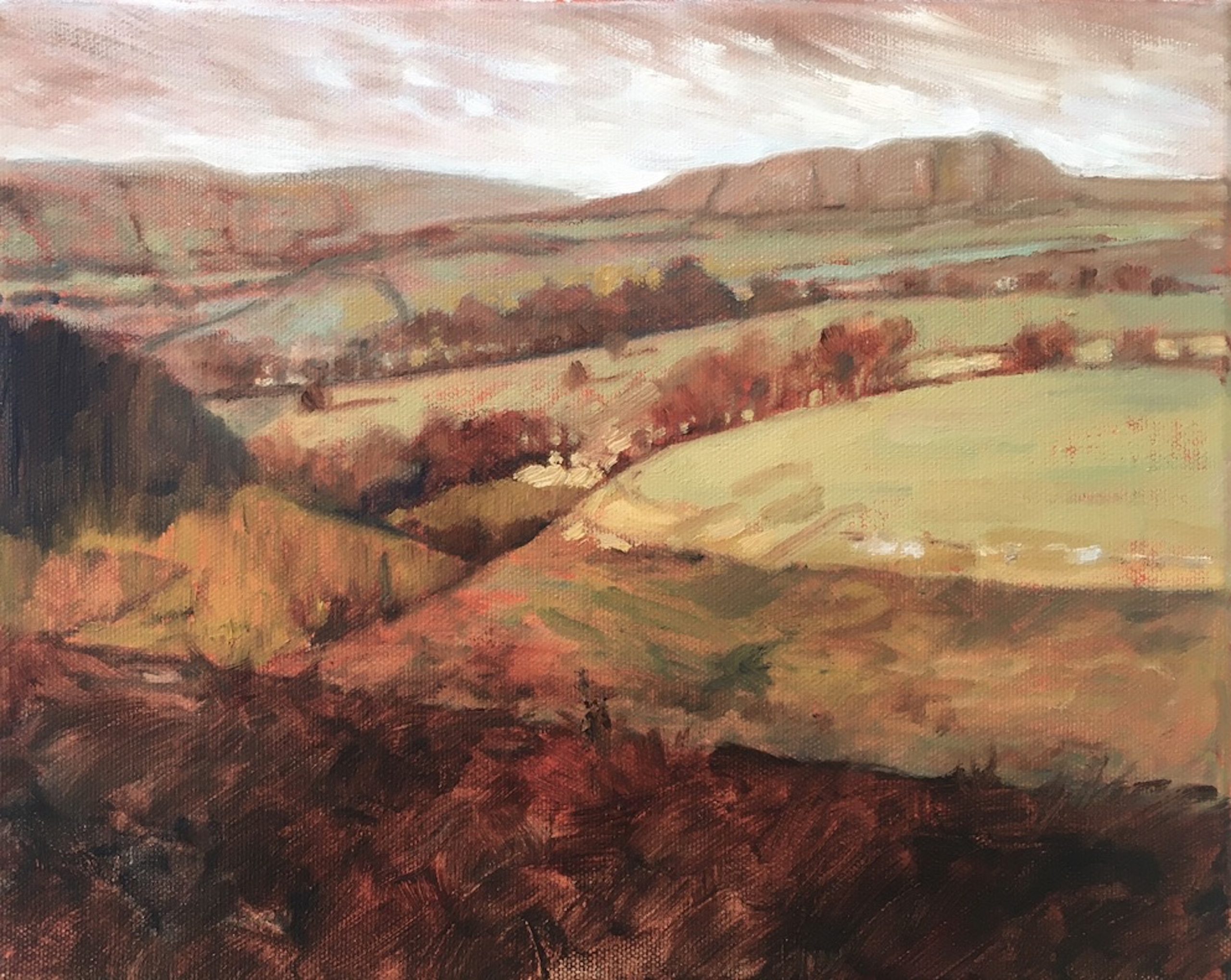 Artists & Arts Orgs: Hazel Money | Arts Derbyshire